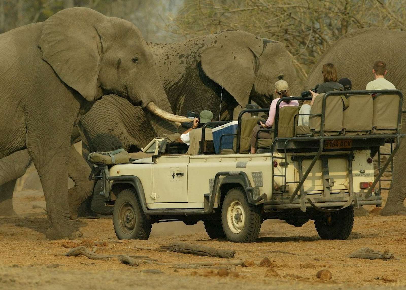 Luxury Botswana Safari Tour | Audley Travel US