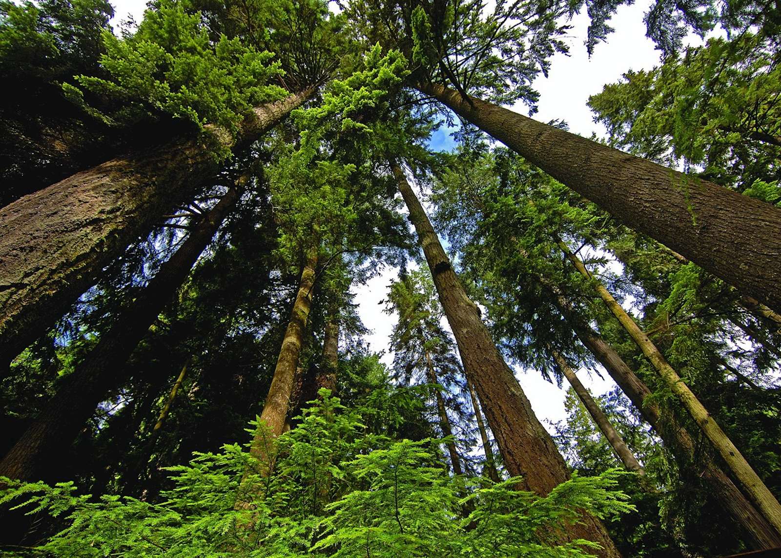 Journey across Canada's winter wonderland by train | Audley Travel UK