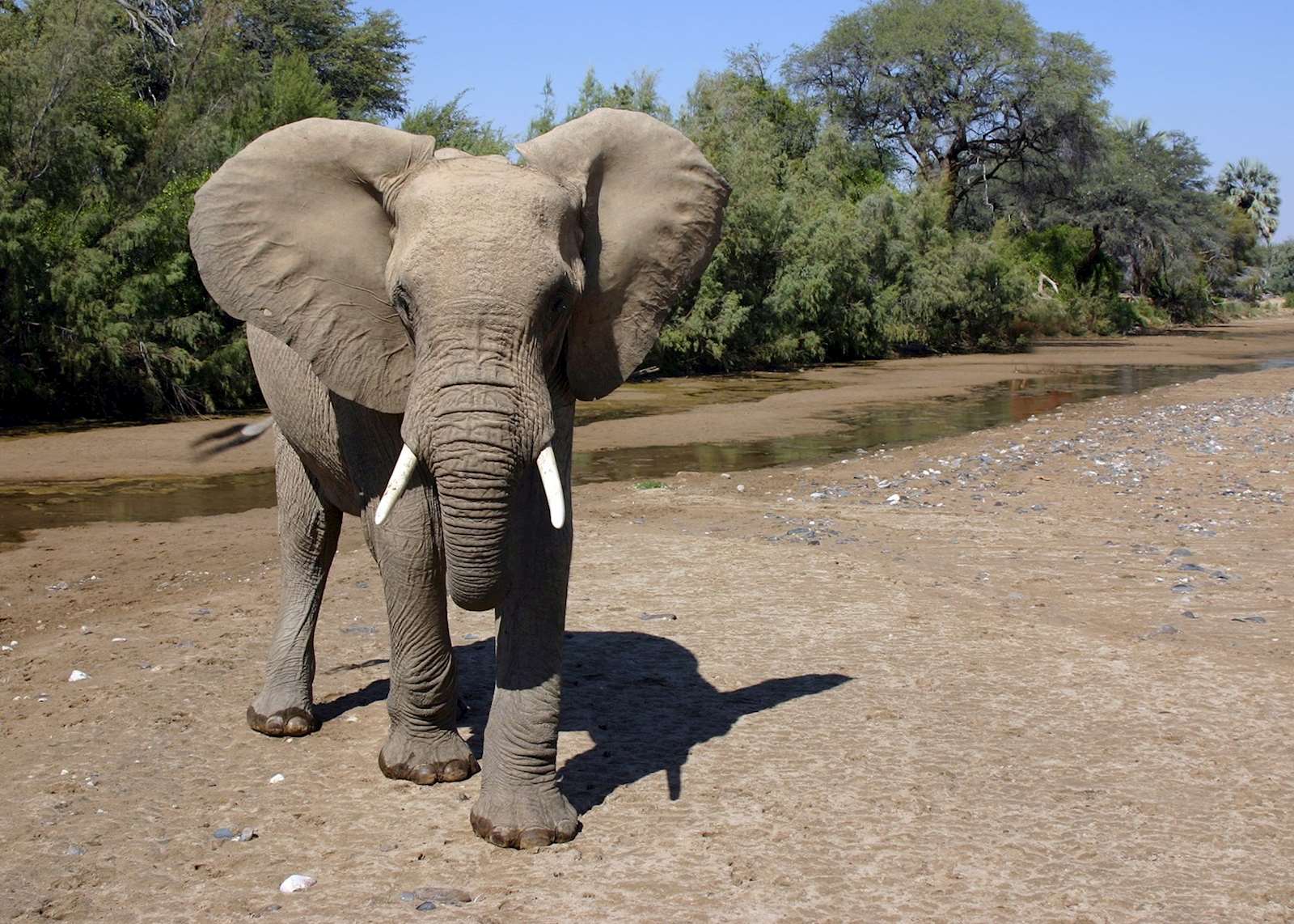 Remote Namibia honeymoon safari | Audley Travel US