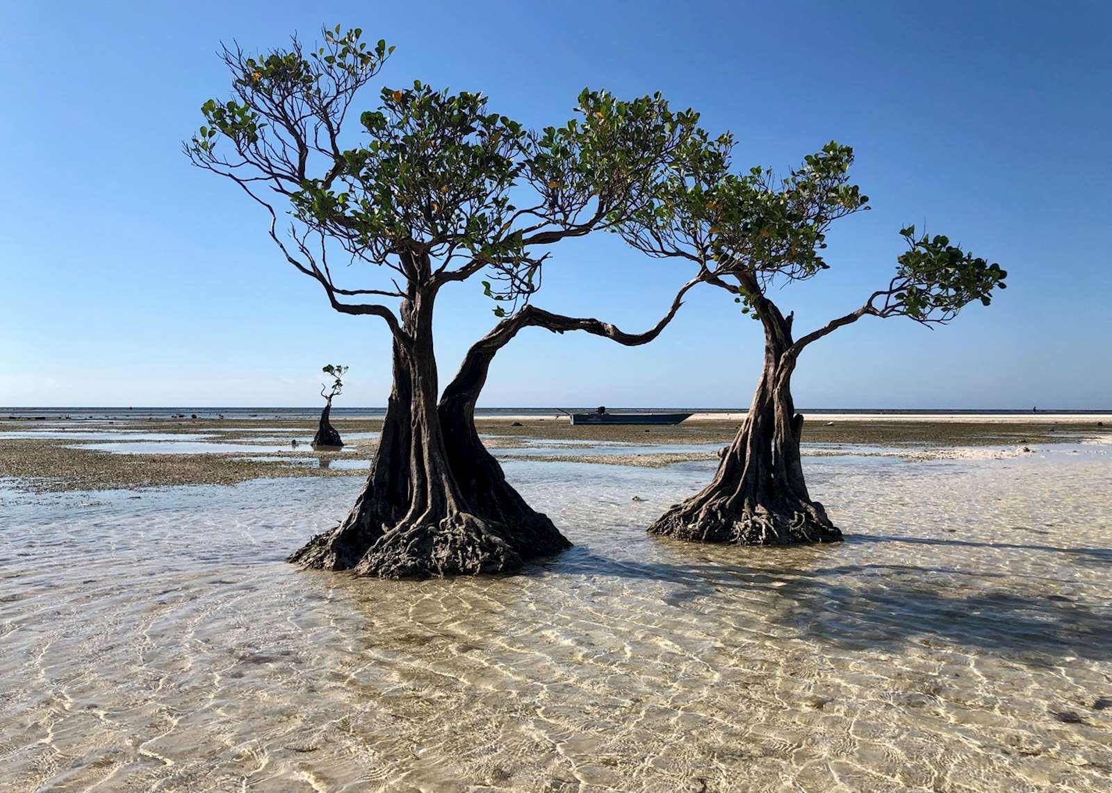 Indonesia: Sumba Tour | Audley Travel CA