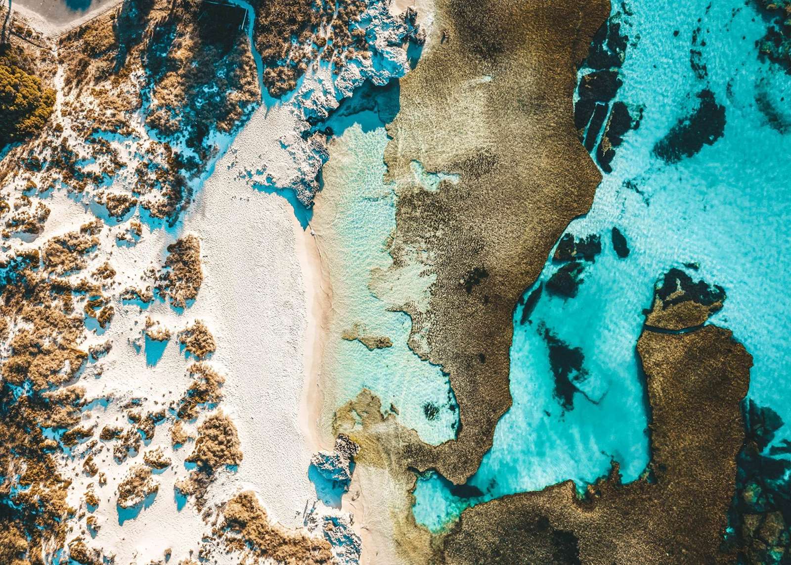 Wine & wildlife — Australia’s ultimate safari | Audley Travel US