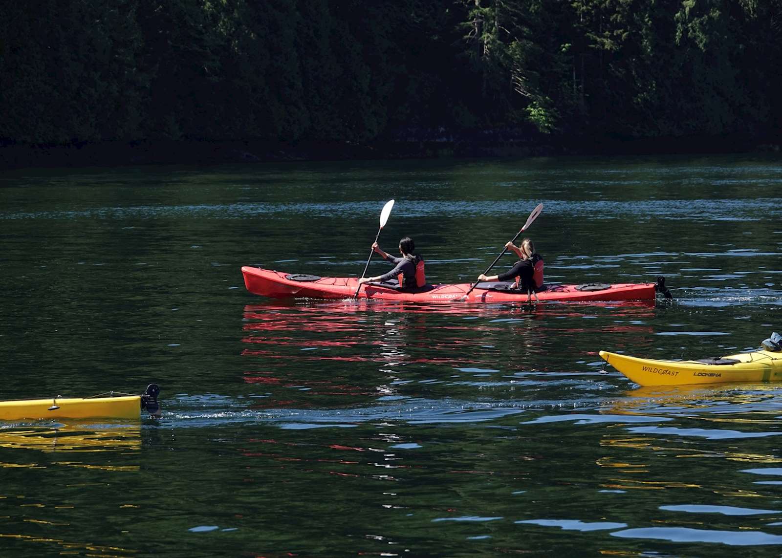 Canada's western wilderness & wildlife self-drive | Audley Travel UK