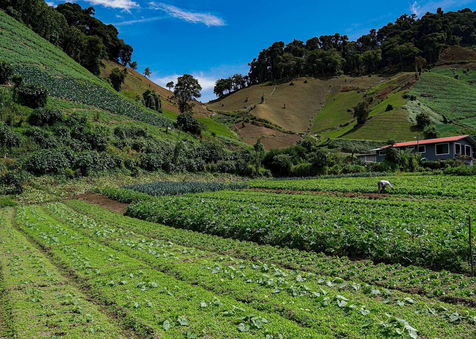Grand tour of Panama | Audley Travel US