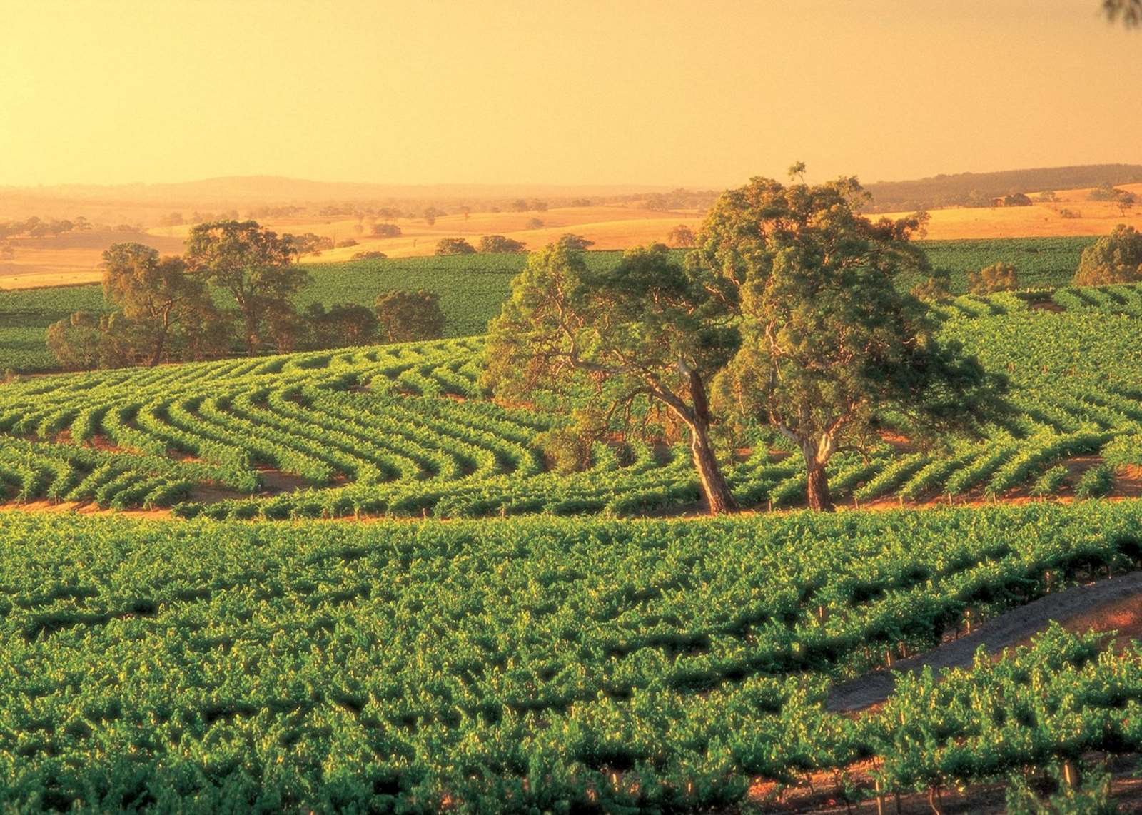 Australia & New Zealand by train and luxuy cruise | Audley Travel UK