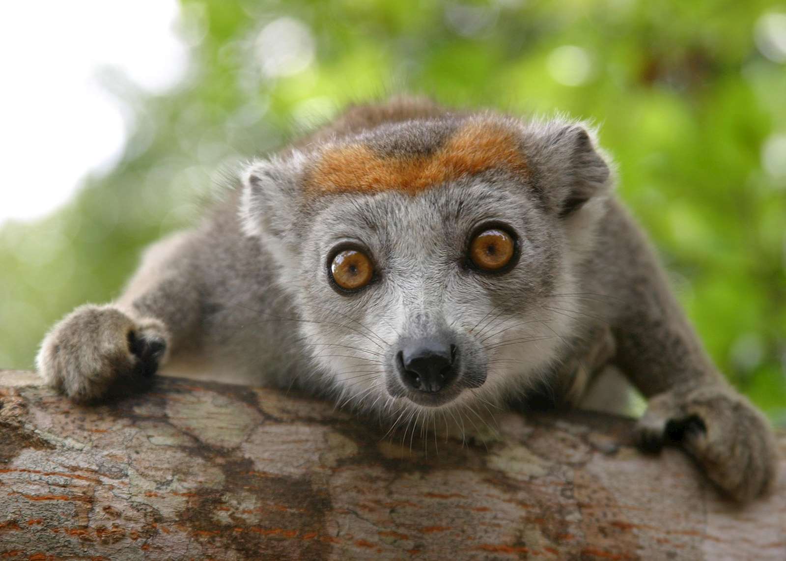 Walking safaris | Audley Travel