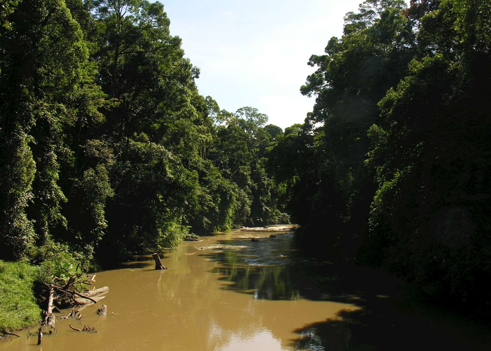 Grand tour of Borneo | Audley Travel UK