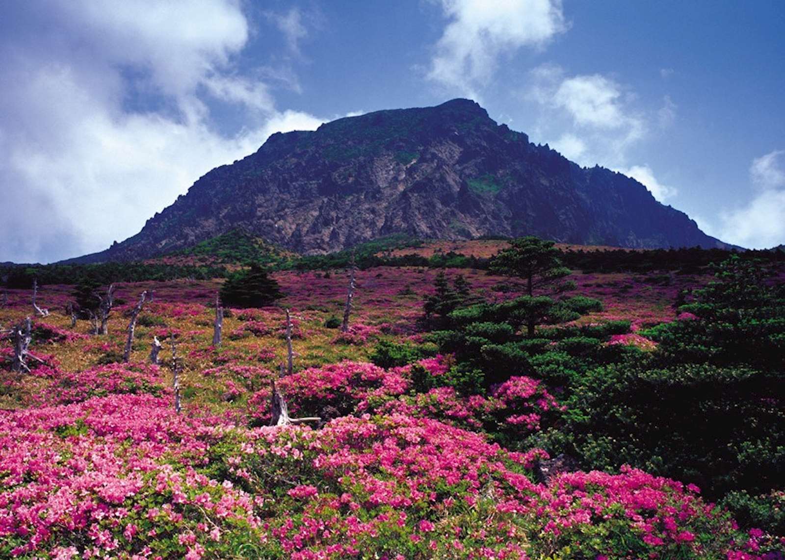 Classic South Korea tour | Audley Travel US