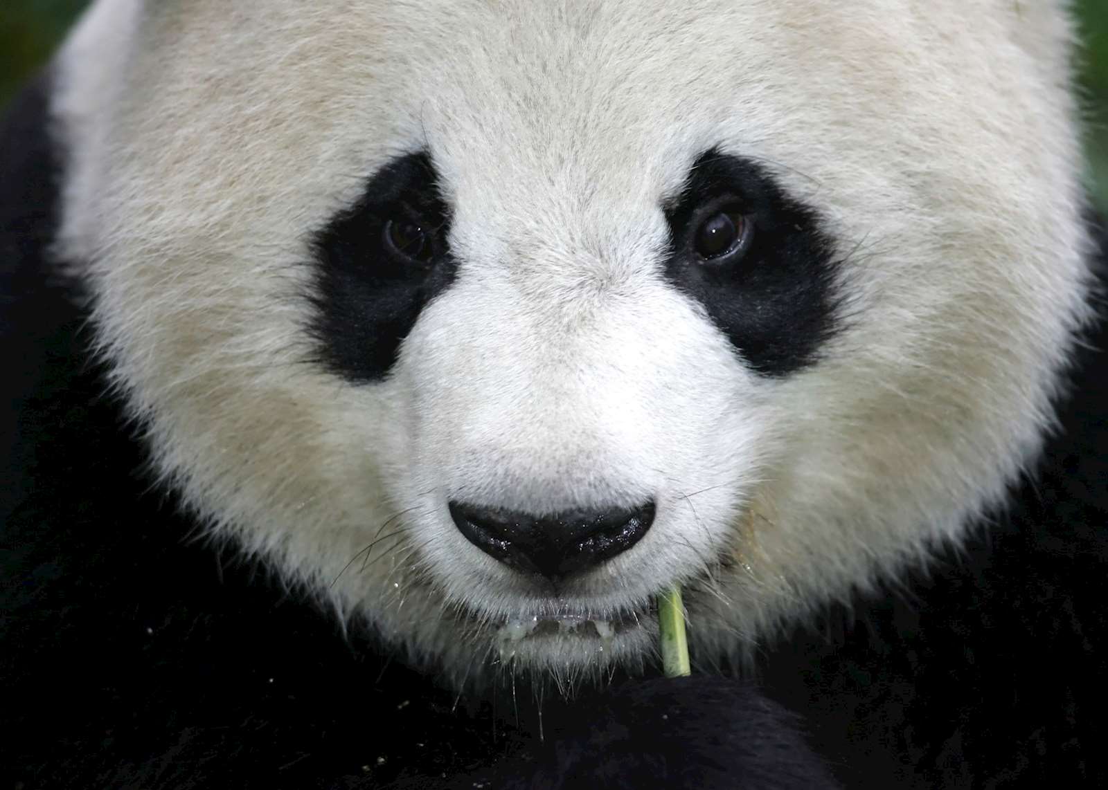 Classic China & Fujian tulou houses | Audley Travel US