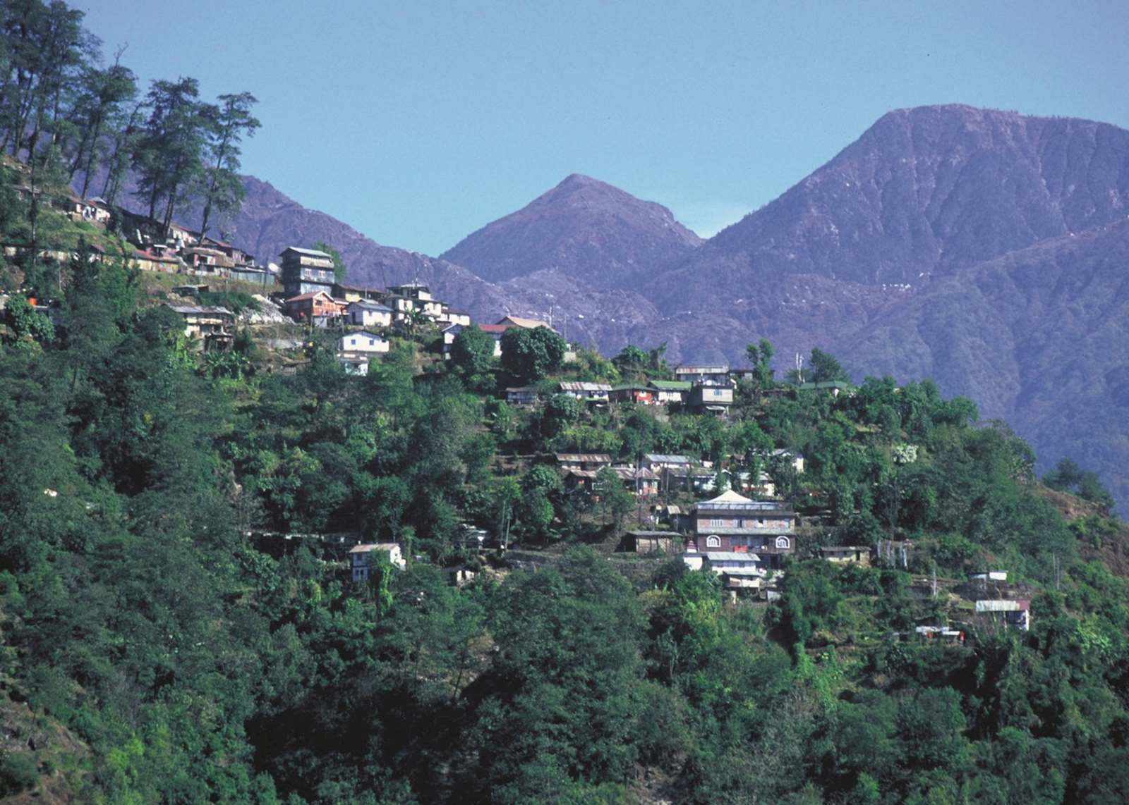 Tea & Buddhism in West Bengal & Sikkim | Audley Travel UK