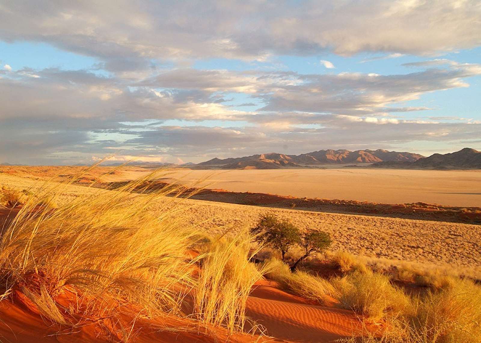 Remote Namibia honeymoon safari | Audley Travel UK