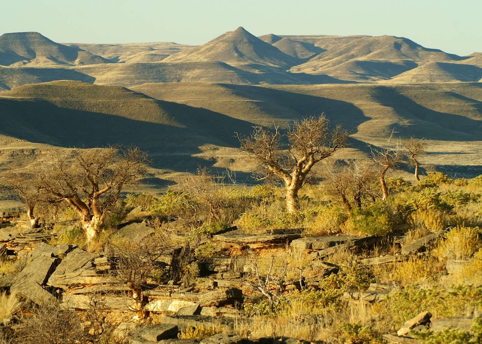 Southern Namibia Self-Driving Tour | Audley Travel UK