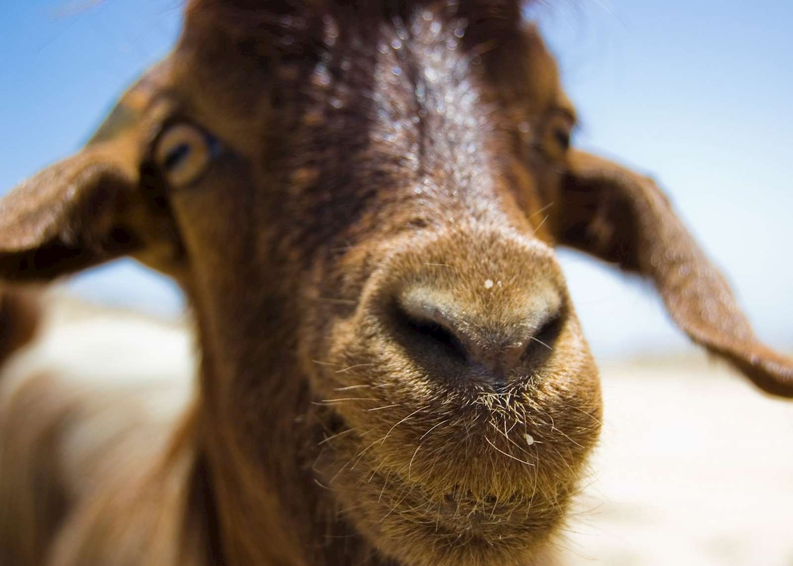 Classic Oman Tour | Itinerary Highlights | Audley Travel UK