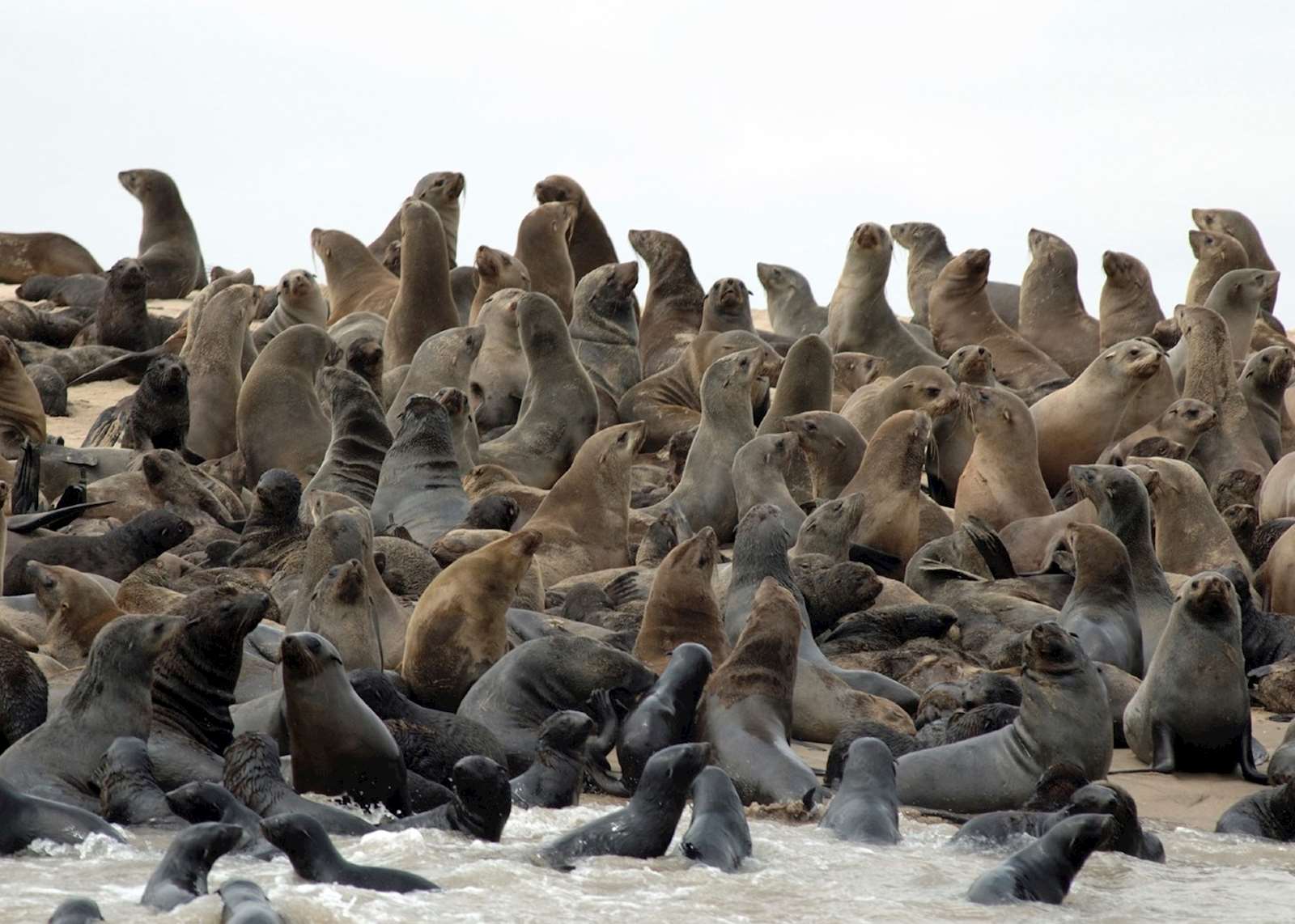 Remote Namibia honeymoon safari | Audley Travel US