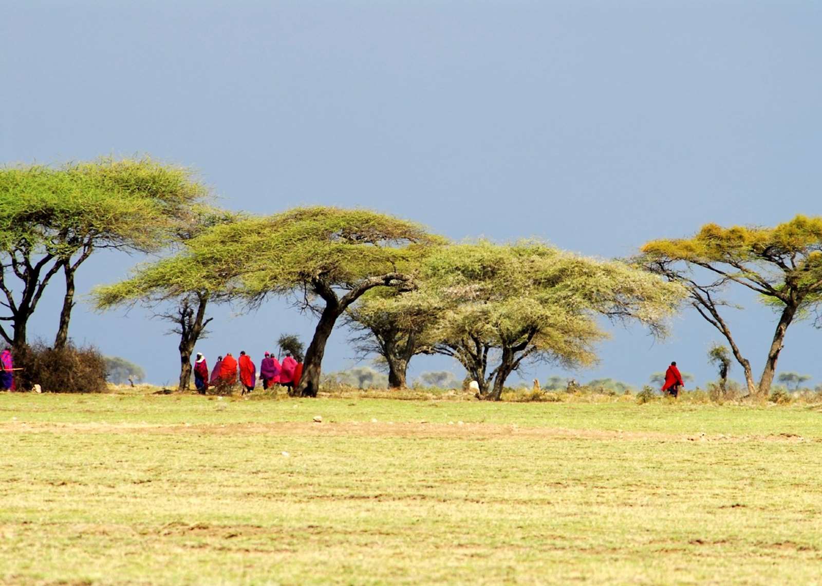 Classic Northern Tanzania Safari Tour | Audley Travel UK