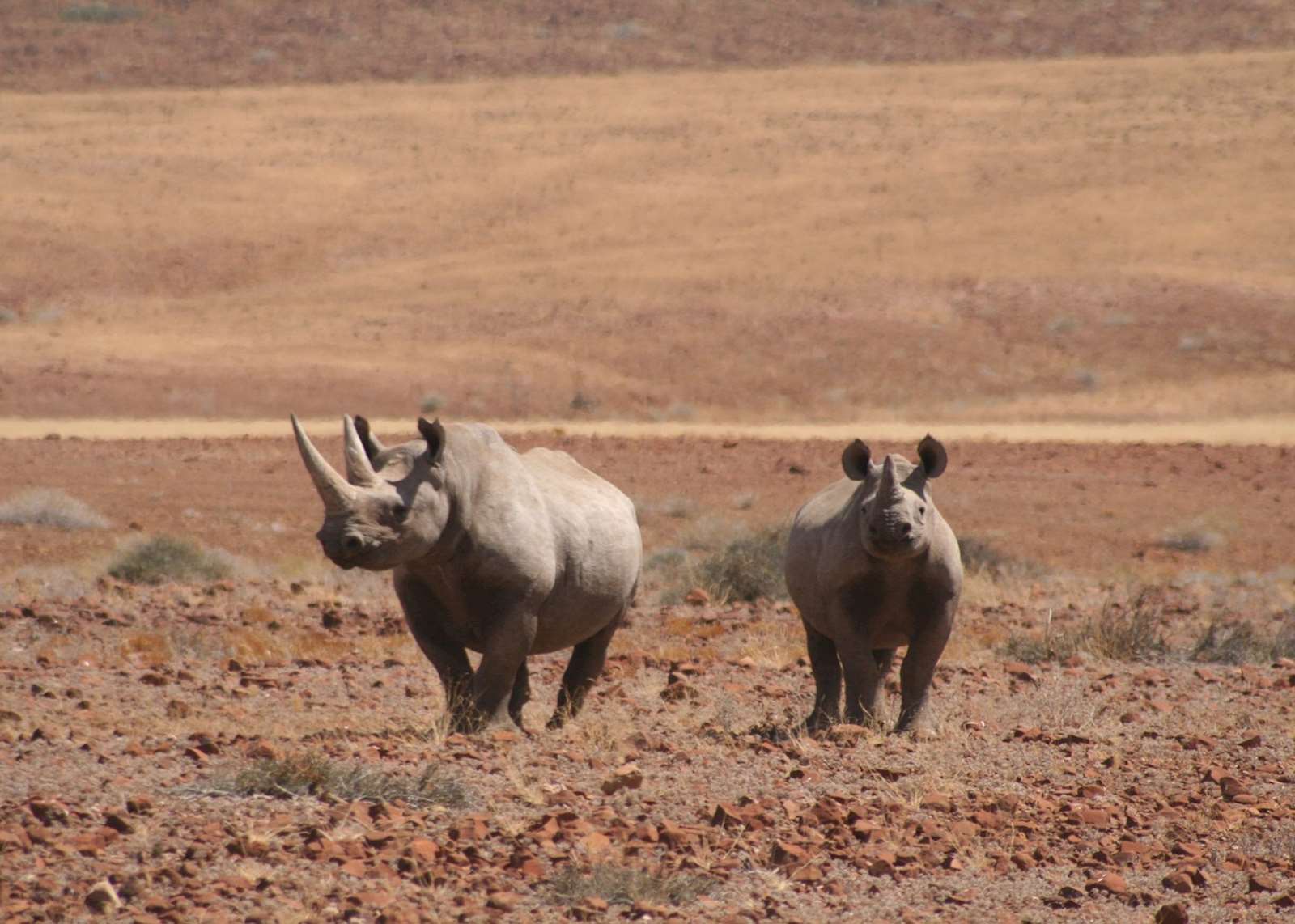 Best Namibia Safaris | Audley Travel UK
