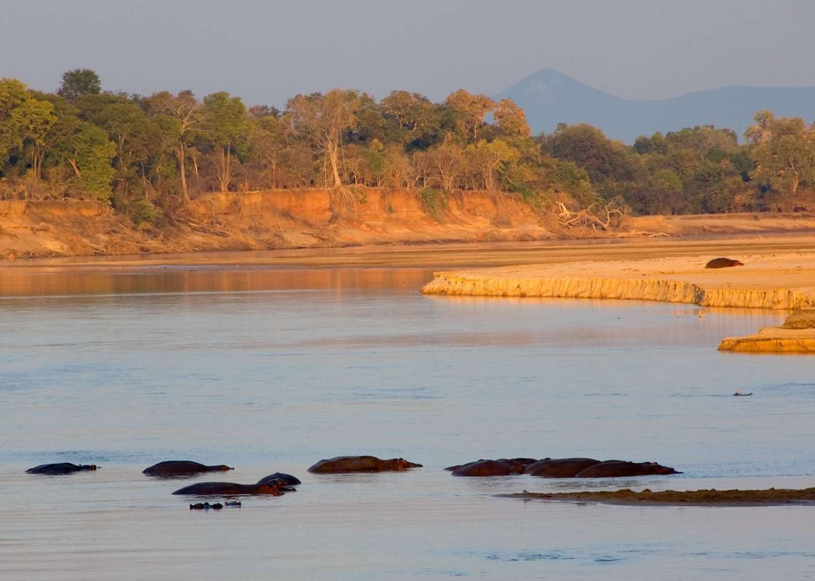 South Luangwa Safari Tour | Audley Travel UK