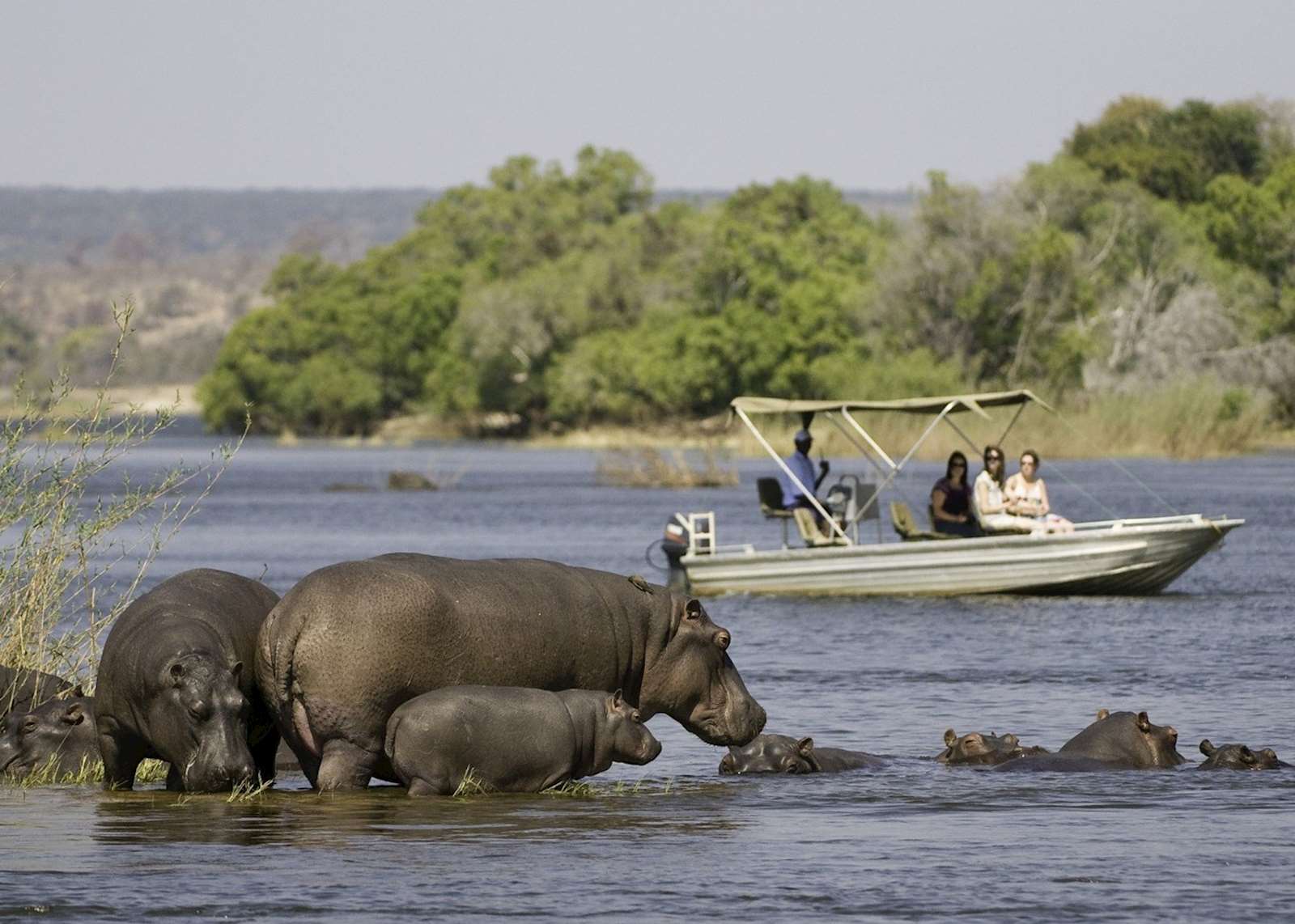 Botswana's Okavango Delta and Victoria Falls Safari Tour | Audley Travel US