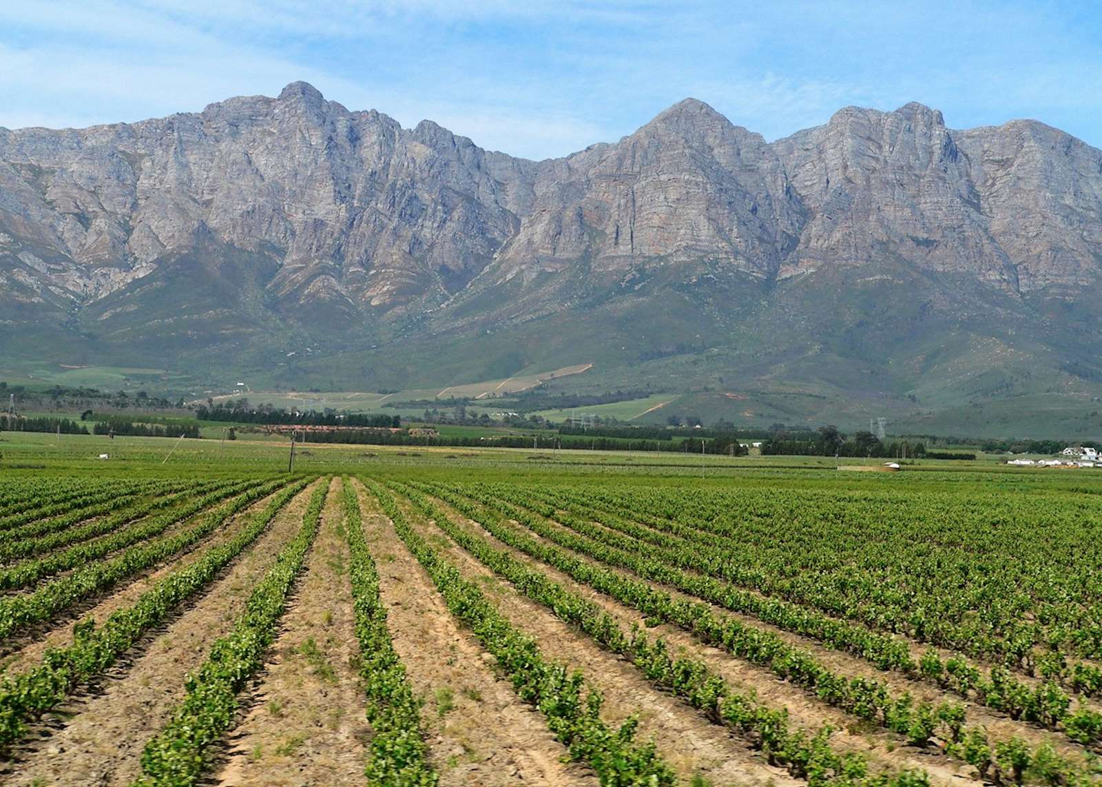 The Grape Escape: Cape Town & Winelands self-drive tour | Audley Travel UK