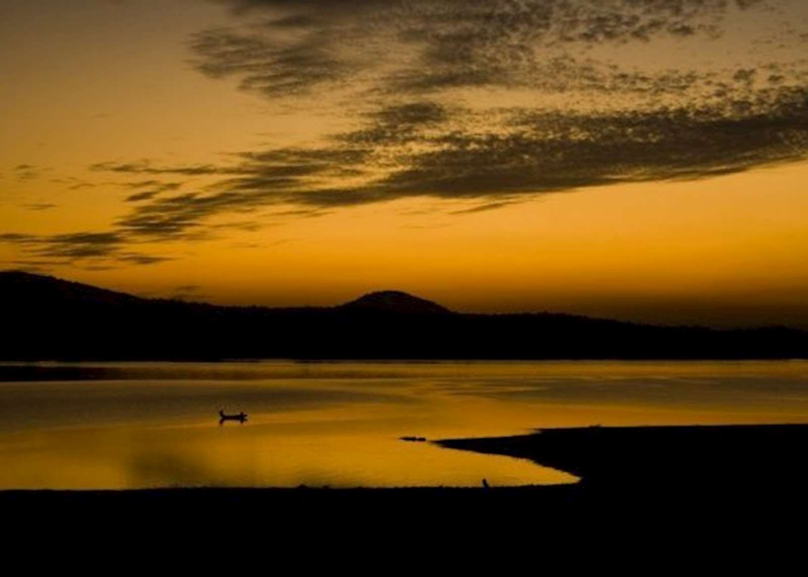 Tigers & sloth bears: unusual wildlife experiences in central India ...