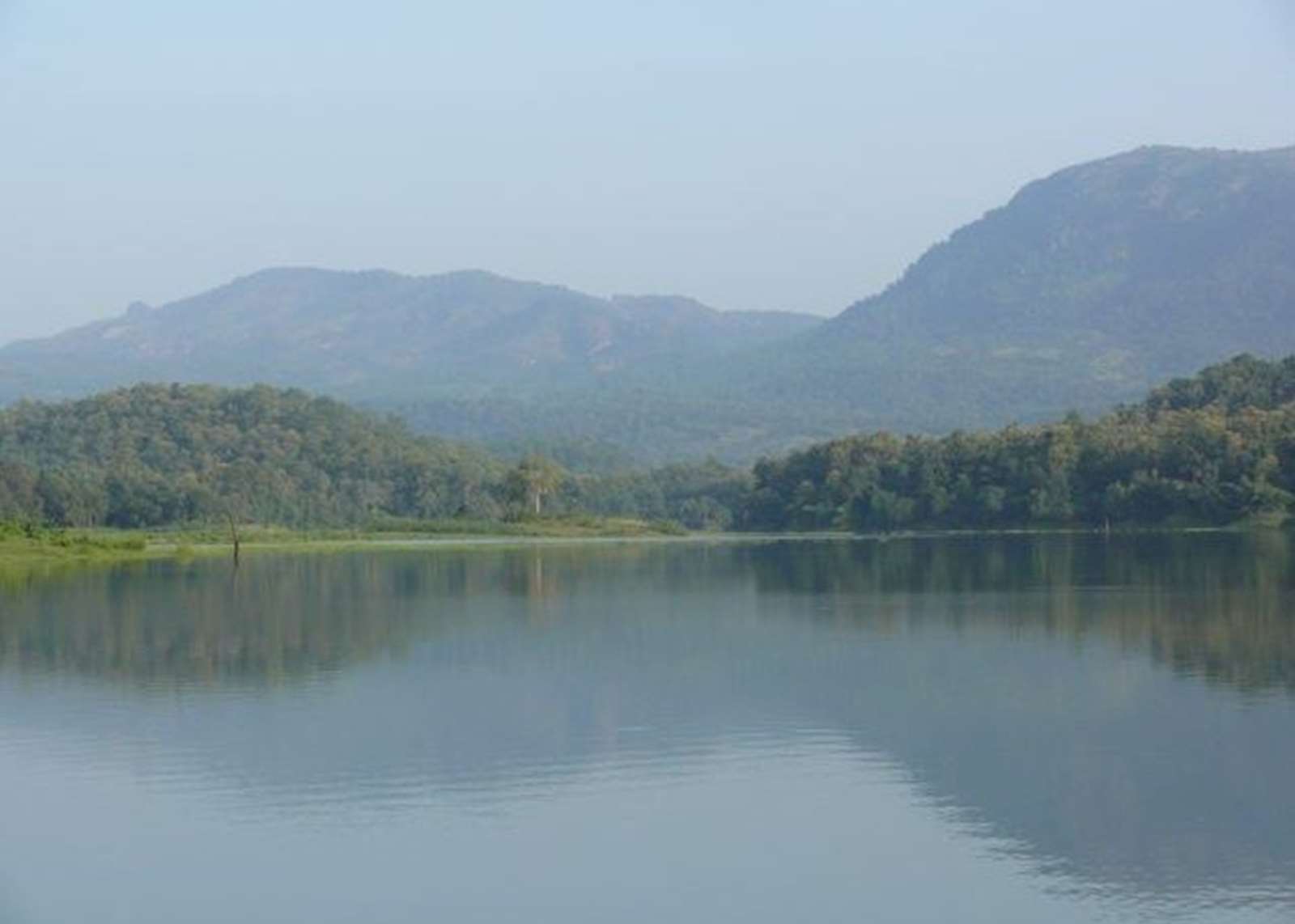 Tigers & sloth bears: unusual wildlife experiences in central India ...