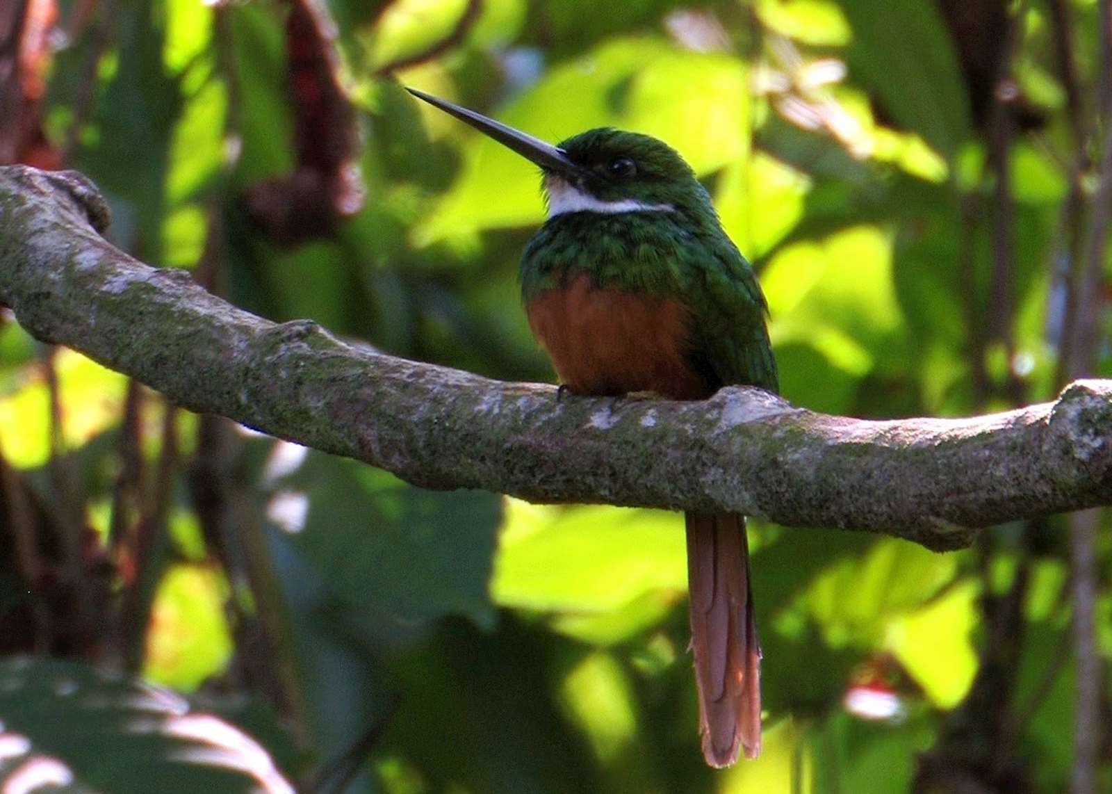 Grand tour of Honduras | Audley Travel UK