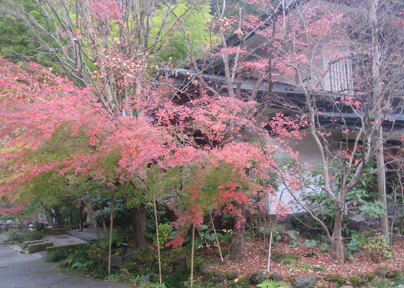 Best of Kyushu Japan self-drive tour | Audley Travel US