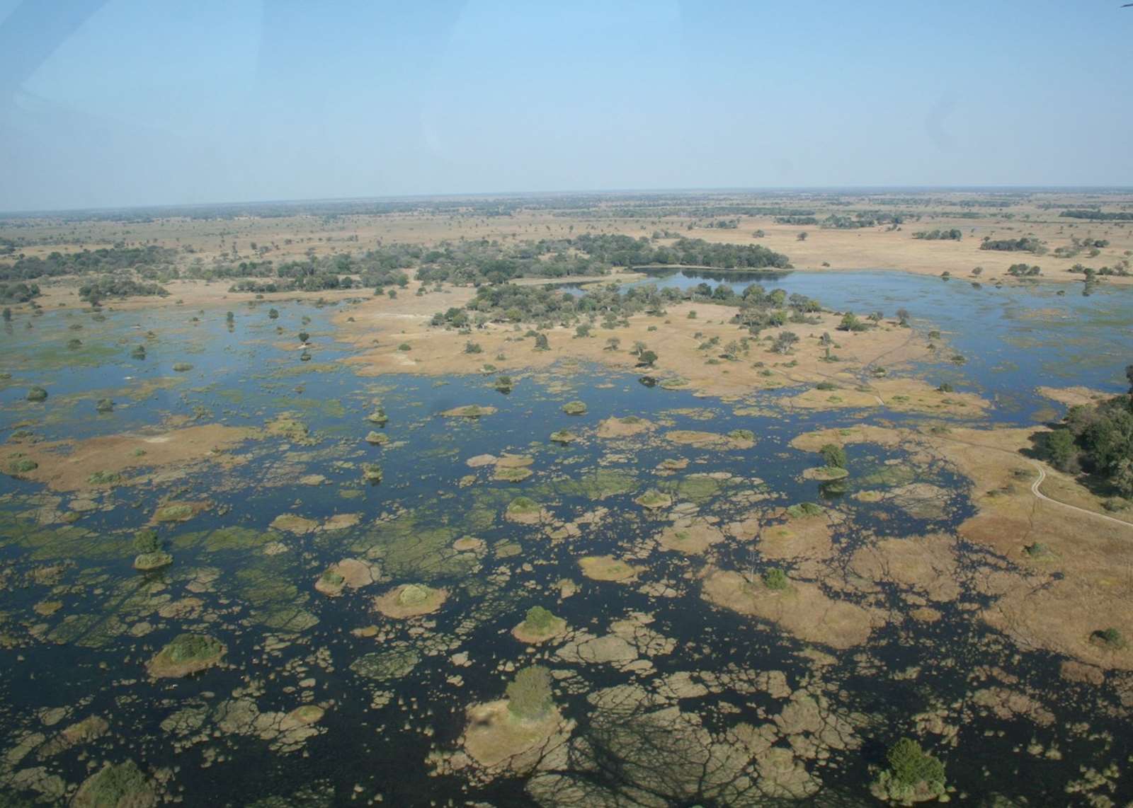 Botswana's Okavango Delta and Victoria Falls Safari Tour | Audley Travel US