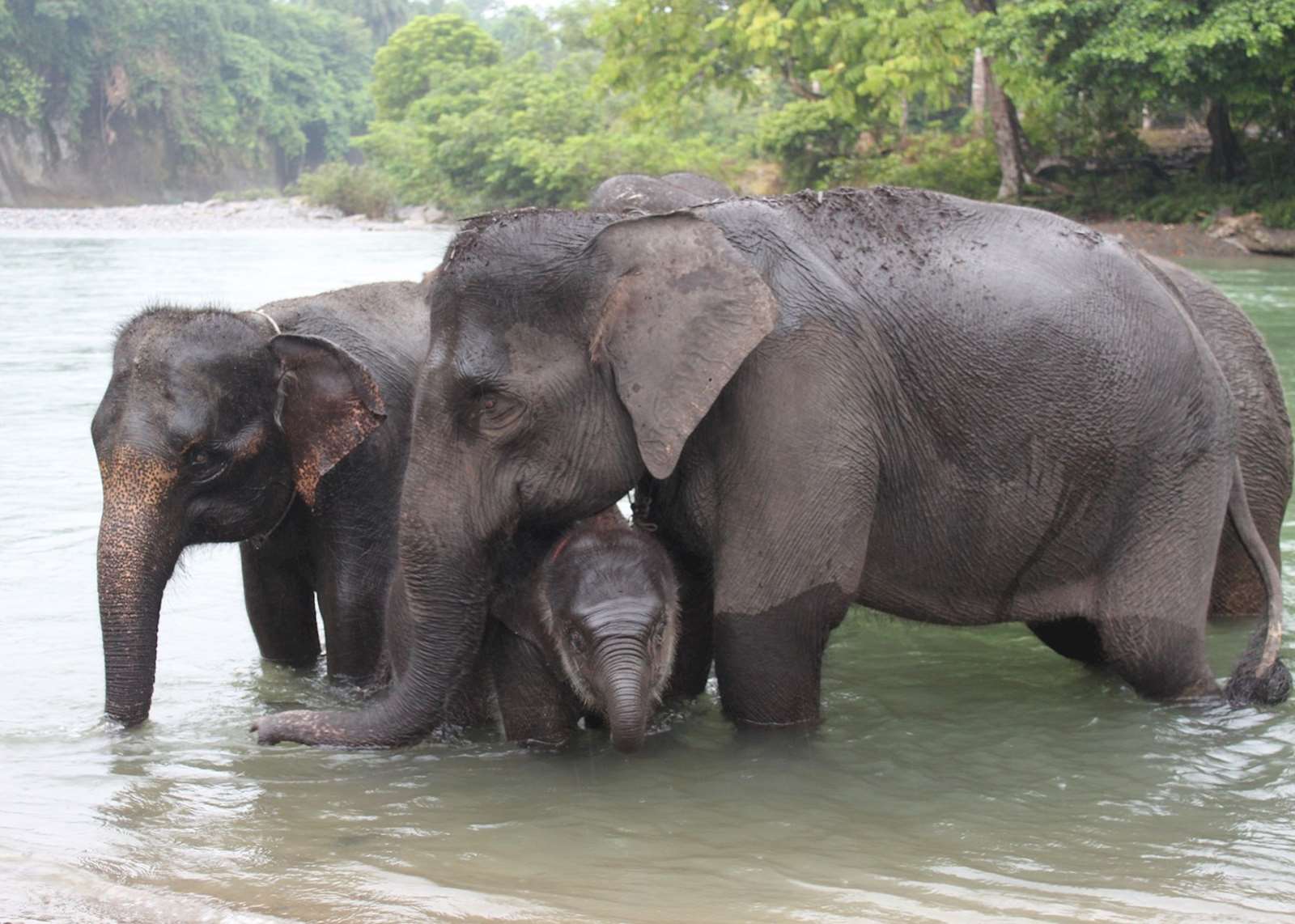 Classic Java & Sumatra Tour | Audley Travel US