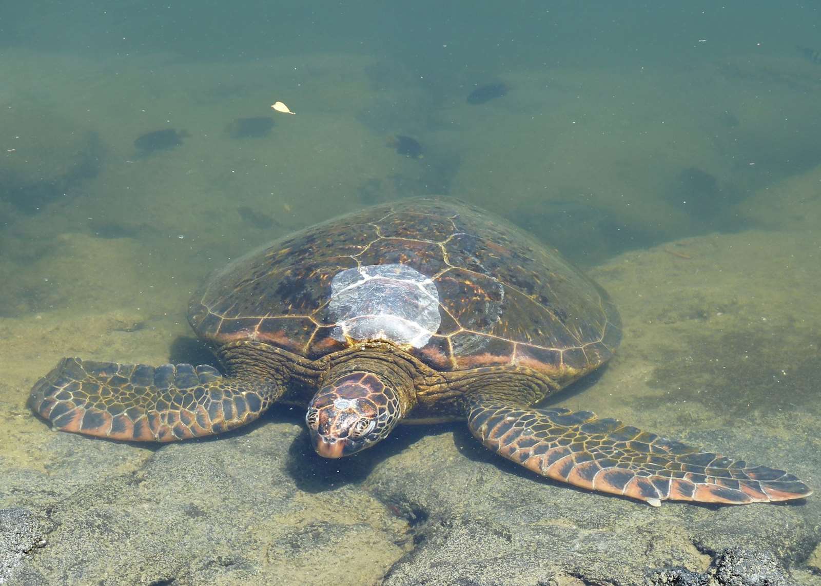 Colombia, Ecuador & Galapagos Tour | Audley Travel UK