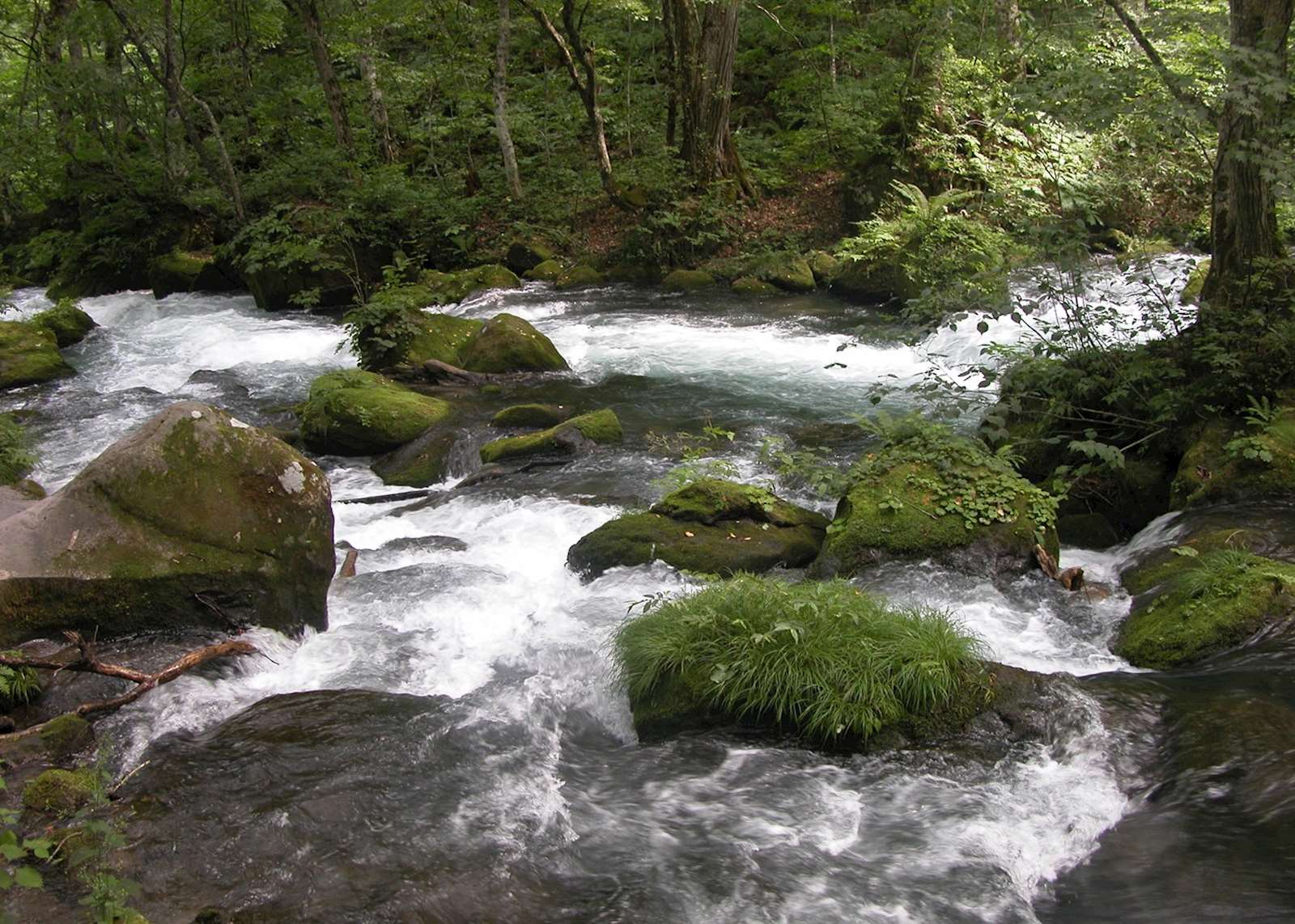 Tohoku Discovered Tour | Request A Quote | Audley Travel US