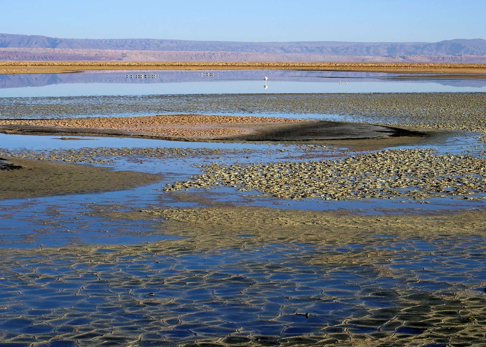 Classic Chile Tour | Itinerary Highlights | Audley Travel UK