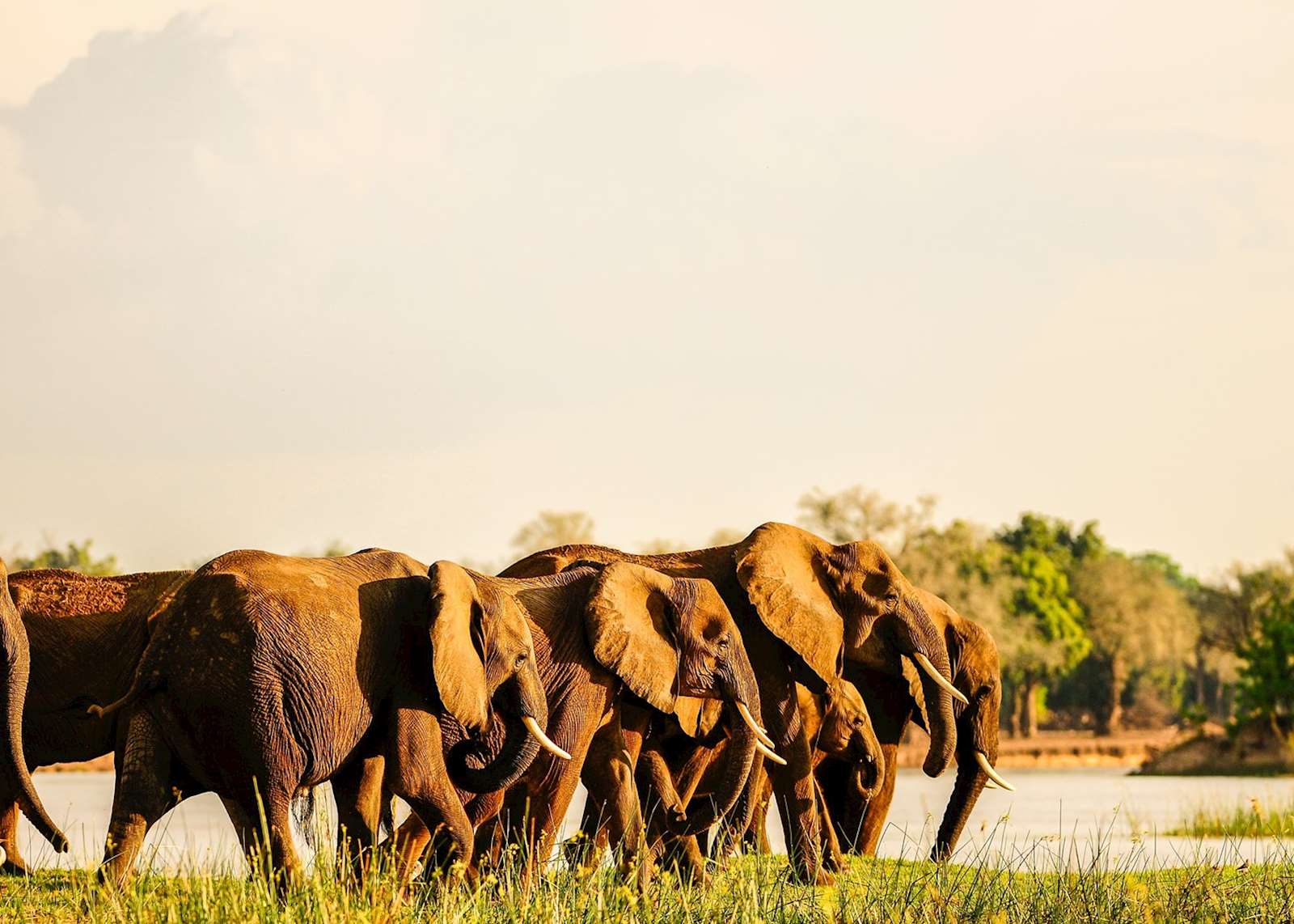 Luxurious Luangwa & Lower Zambezi Tour | Audley Travel