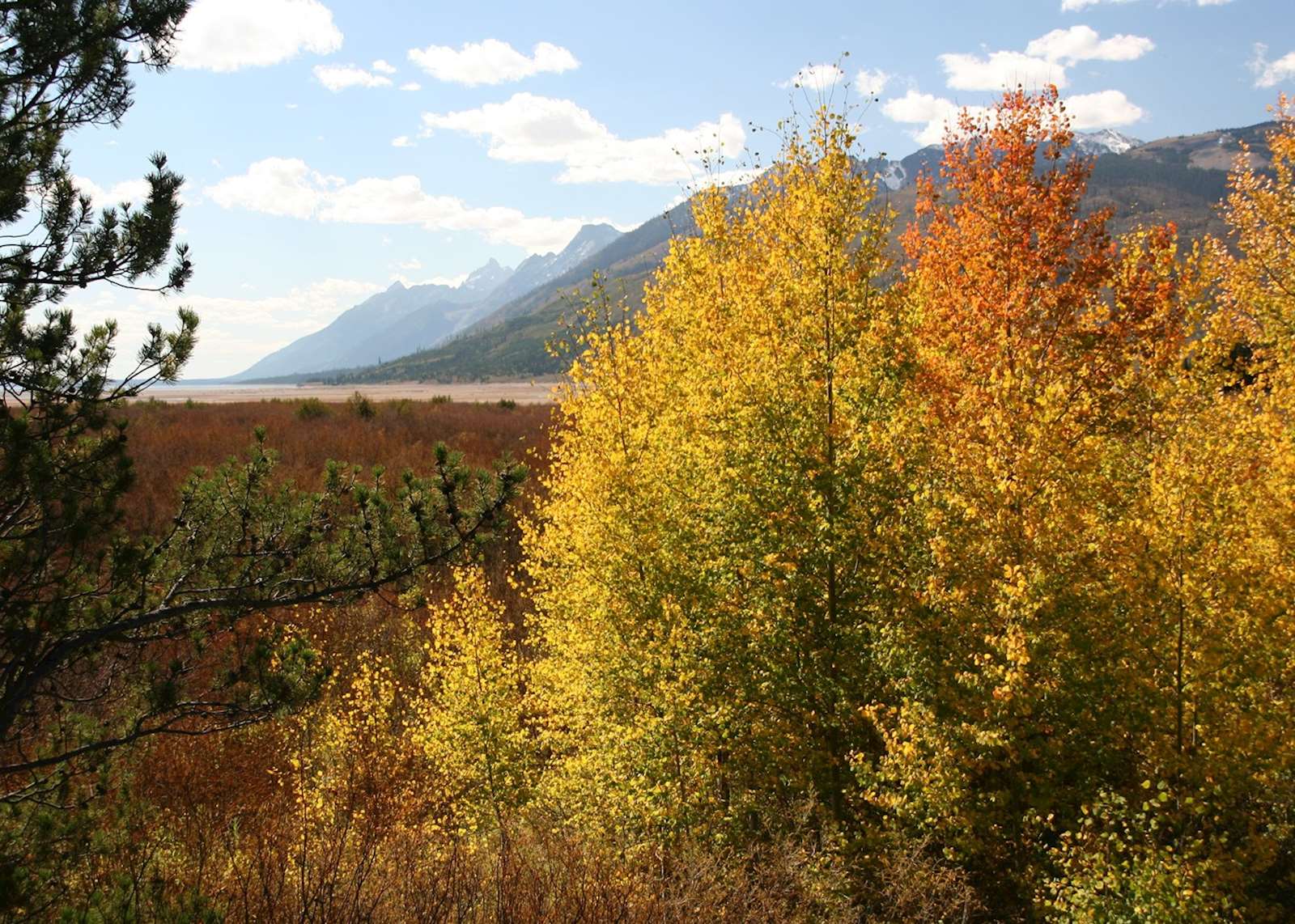 Yellowstone National Park discovered | Audley Travel UK