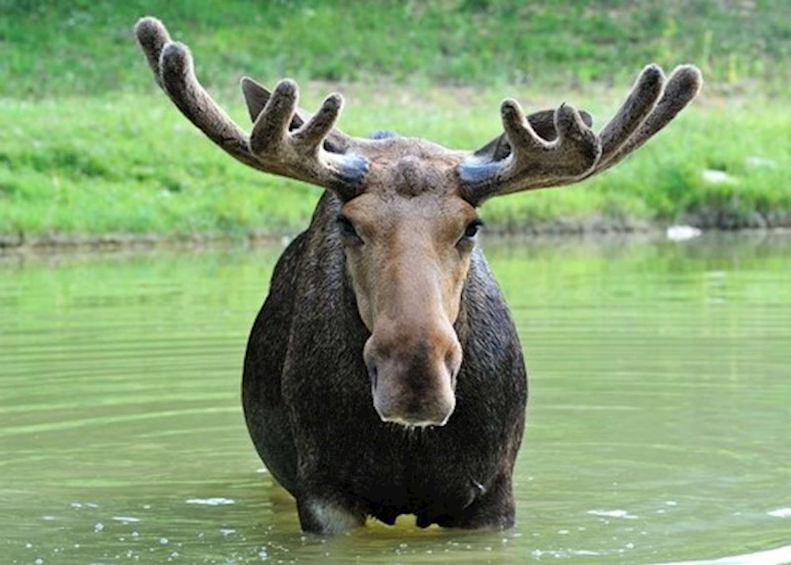 Hidden gems of Canada's Rockies self-drive tour | Audley Travel UK