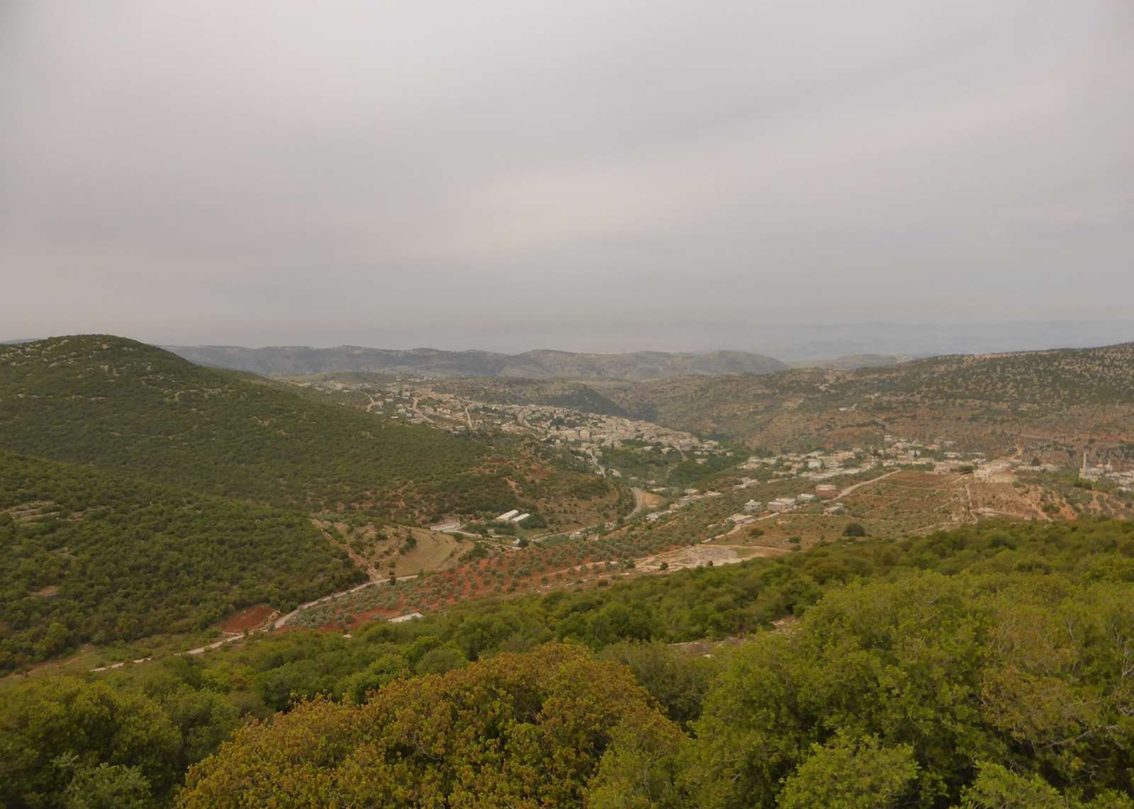 Jordan's nature reserves | Audley Travel UK
