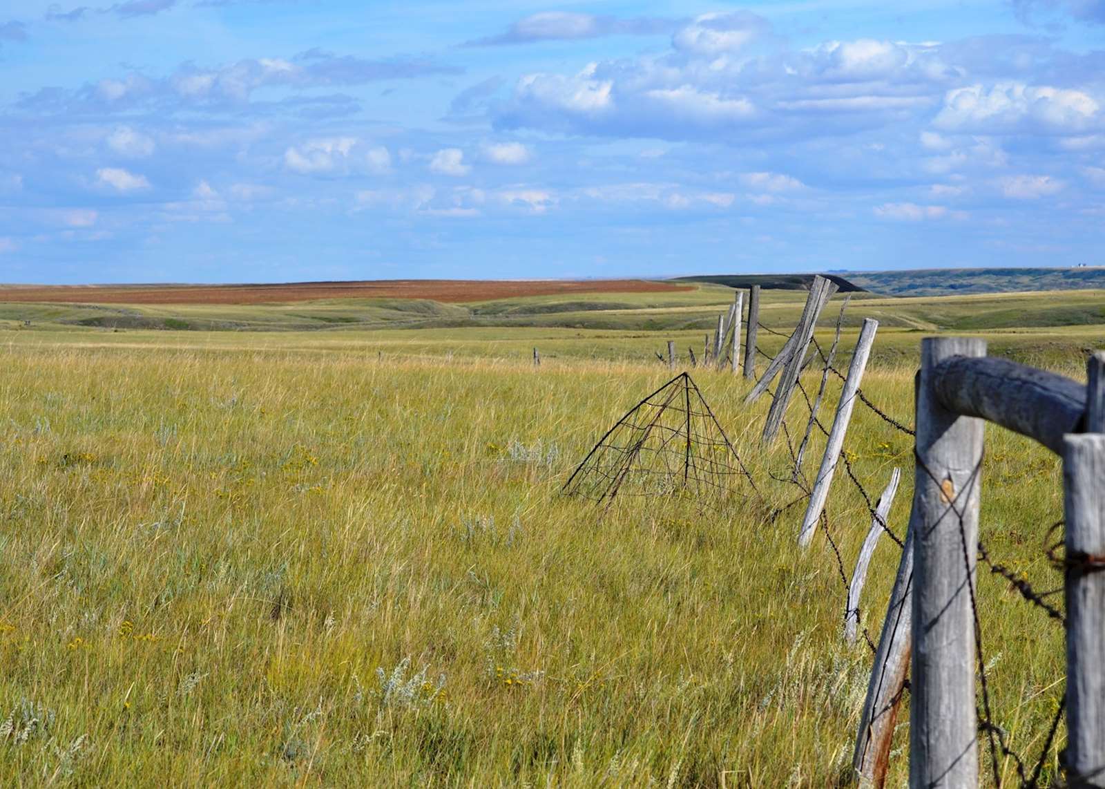 Saskatchewan's ranches, national parks & cities self-drive tour ...