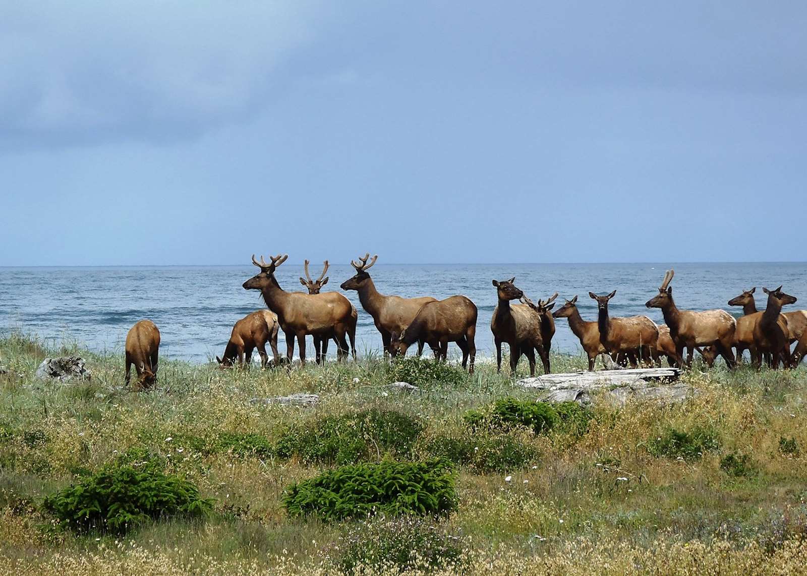 Northern California Self-Drive Tour | Audley Travel US