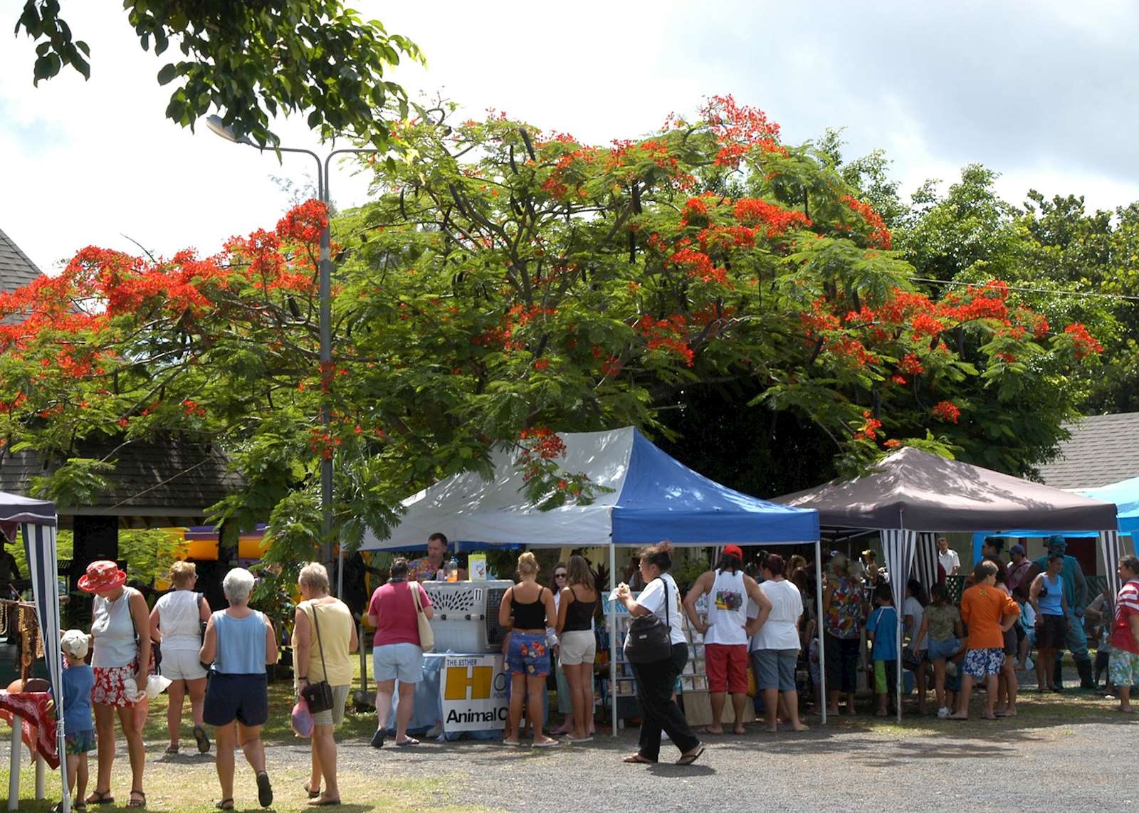 Cook Islands Luxury Tour | Audley Travel US