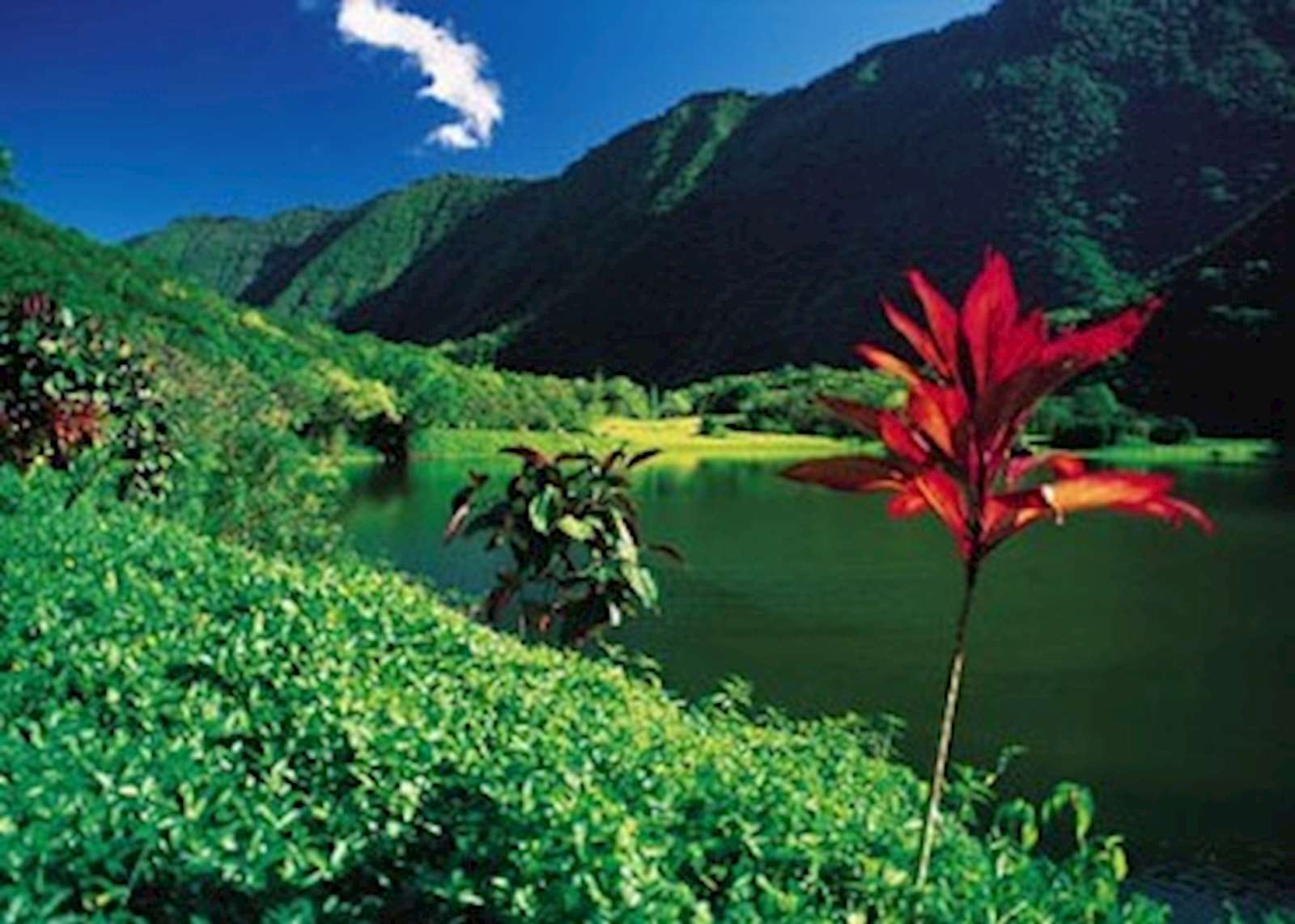 Remote French Polynesia Aranui cruise | Audley Travel US