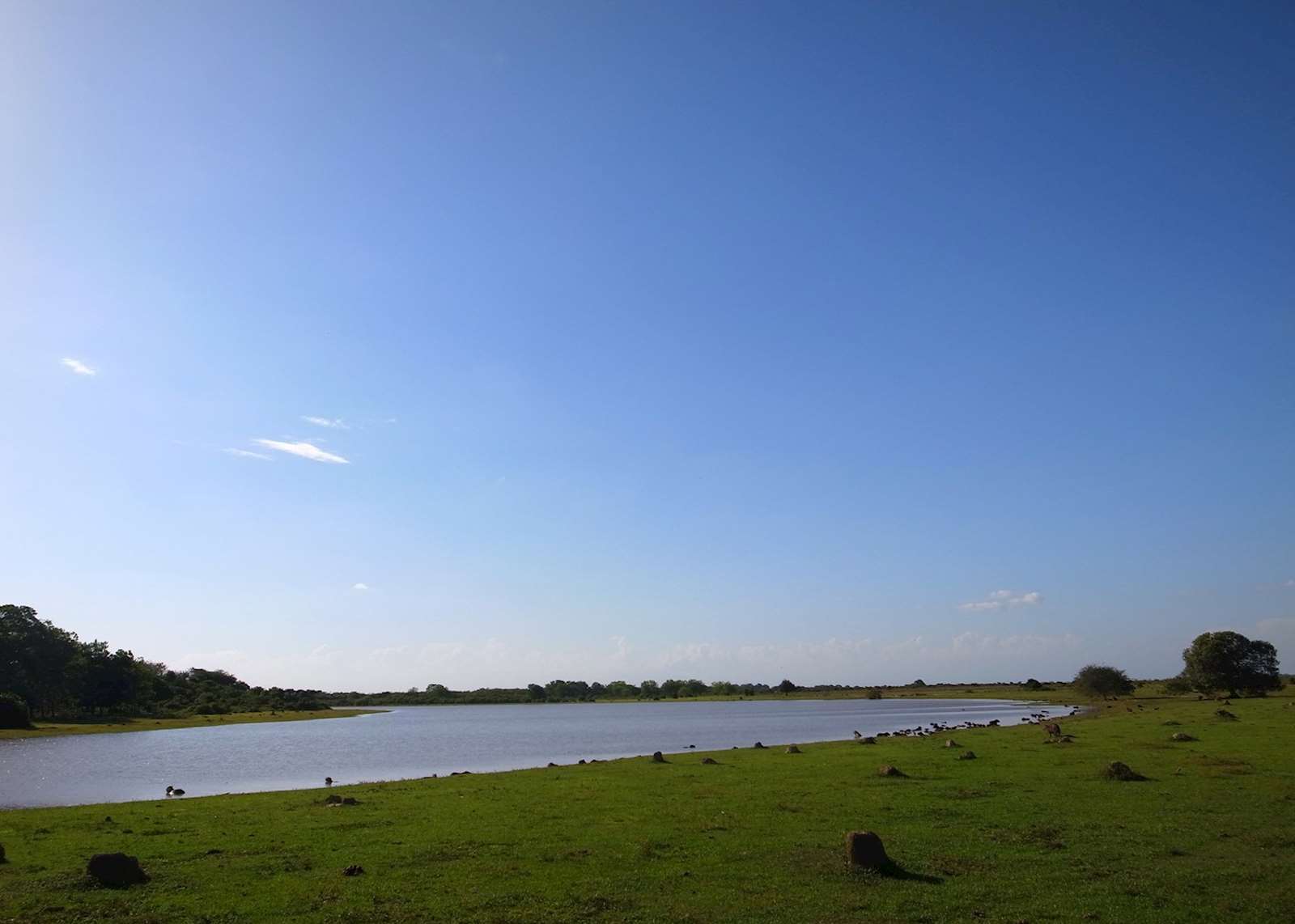 Wild Colombia: Los Llanos & the Pacific Coast | Audley Travel US