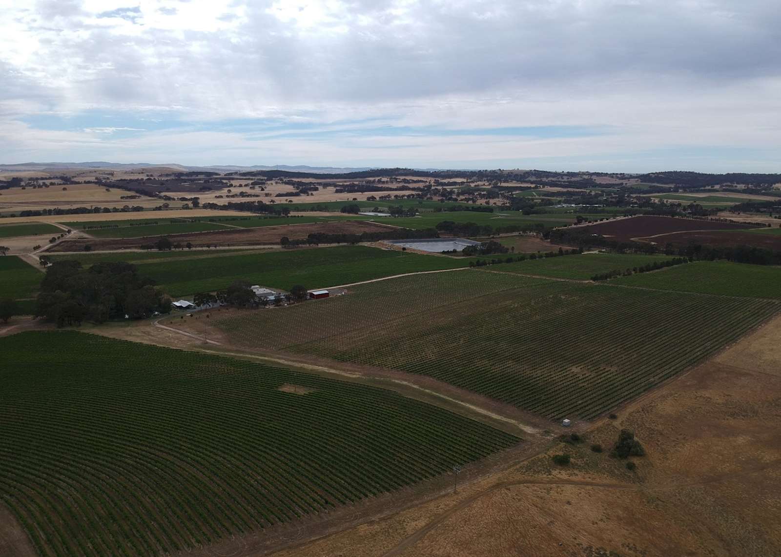 South Australia's wine, wildlife & outback self-drive | Audley Travel US