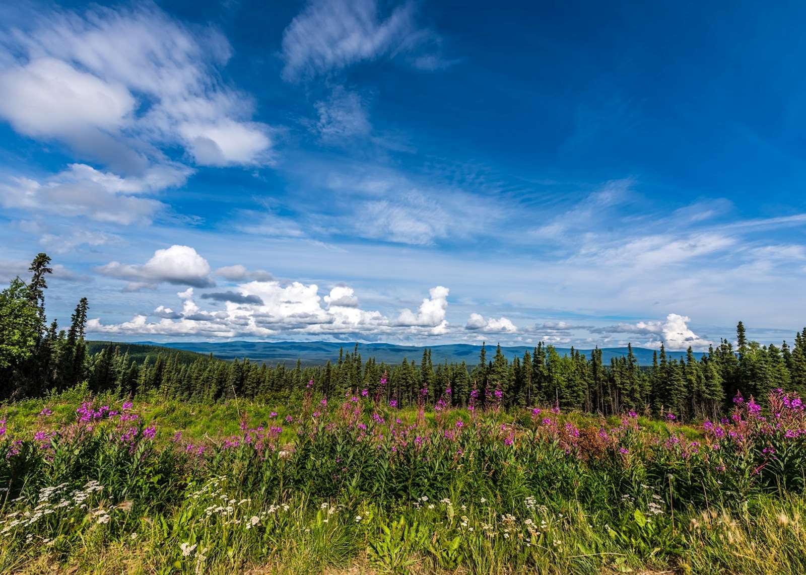 Alaska's northern lights by train | Audley Travel US