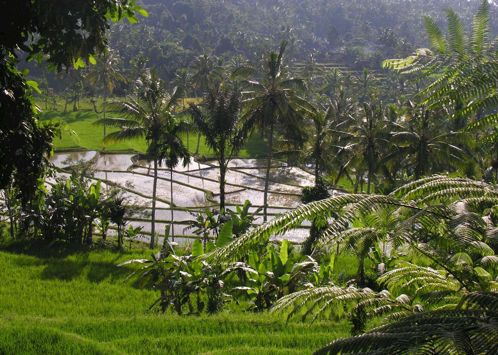 Classic Bali and Lombok Tour | Audley Travel US