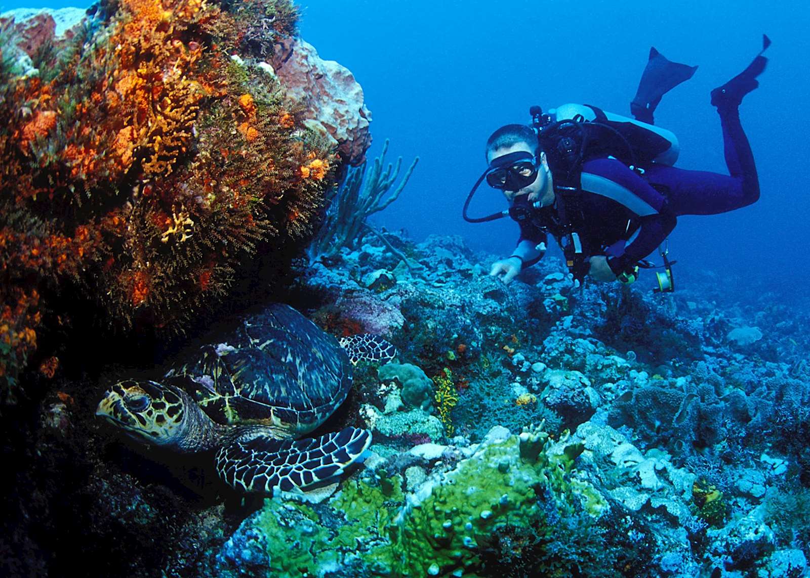 What to do in Grenada: our highlights guide | Audley Travel US