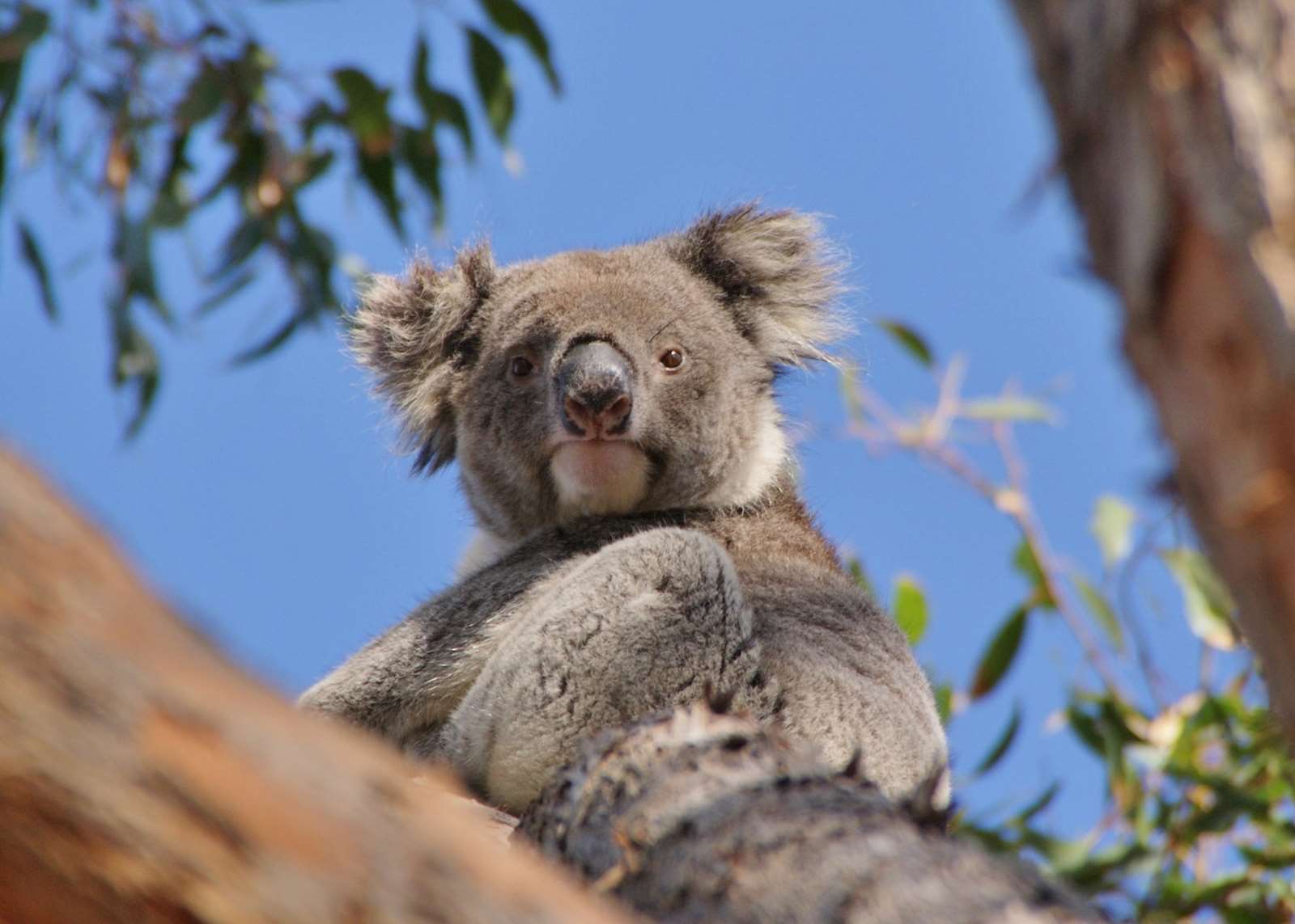 South Australia's wine, wildlife & Outback self-drive | Audley Travel US
