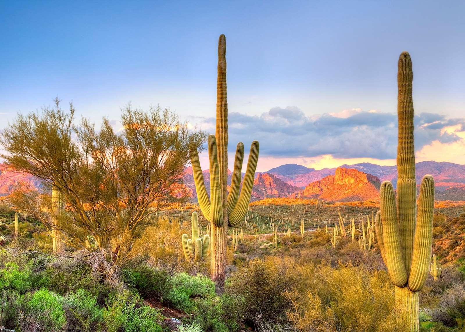 Where is hot in September? | Audley Travel US