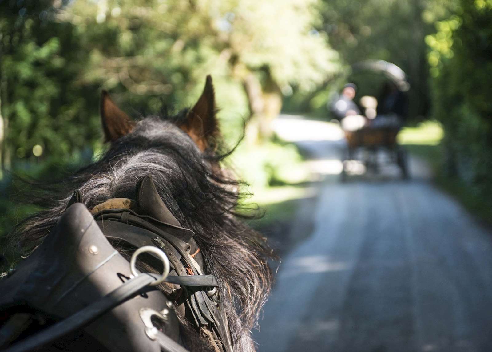 Ireland 7 day itinerary | Audley Travel US