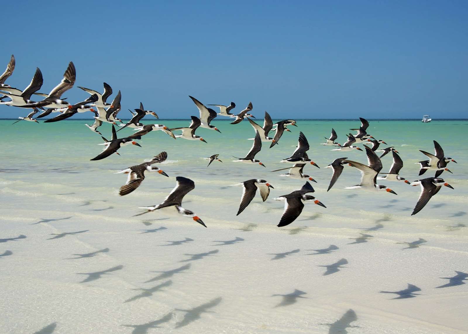 Exploring Mexico's Yucatán: Mérida, Chichén Itzá & Isla Holbox | Audley ...