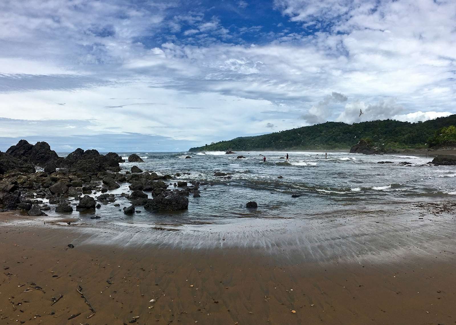 Wild Colombia: Los Llanos & the Pacific Coast | Audley Travel US