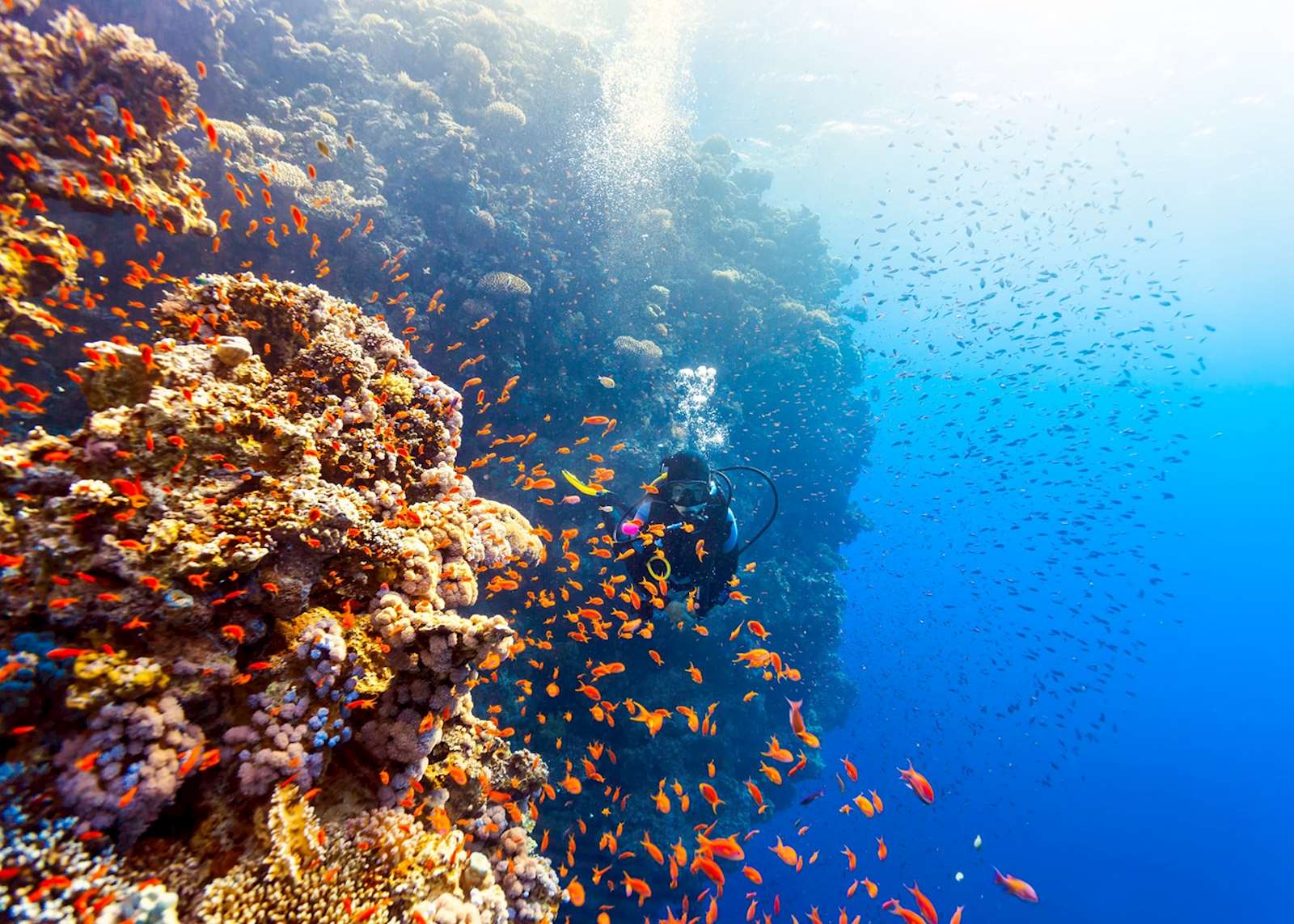 Cairo and Beach Itinerary Idea | Audley Travel UK